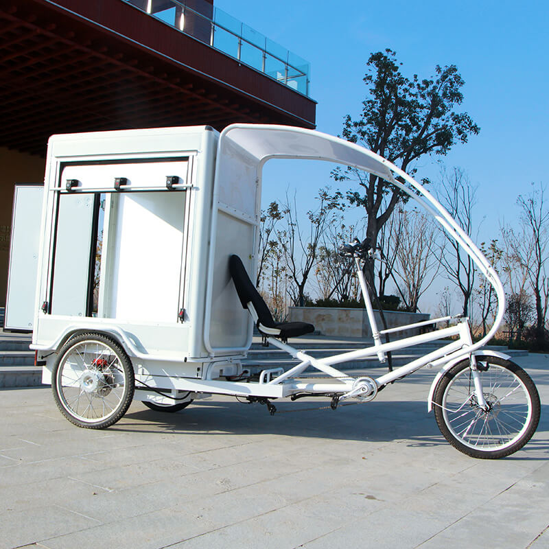 Aluminium Box Cargo Trike - Family Cargobike