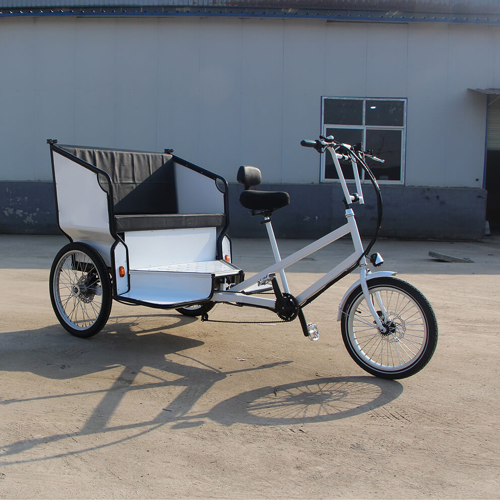 Popular Electric Pedicab with Pedal/taxi Bike Motor Kit – Family Cargobike