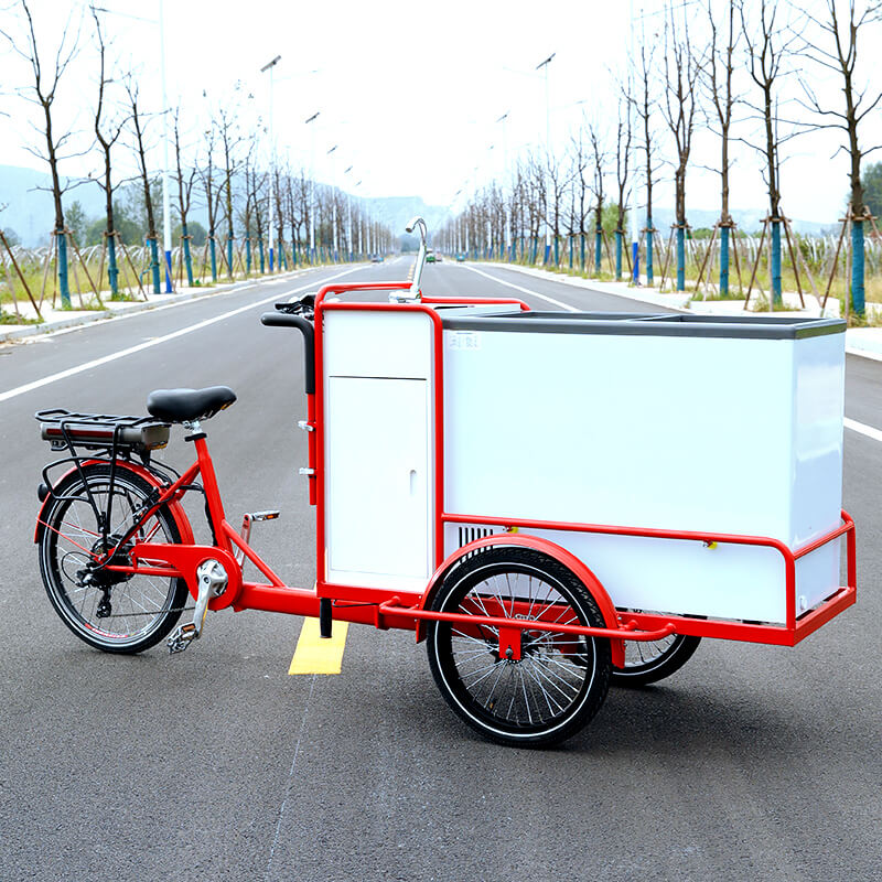 Cool Delights on Wheels the Magic of Ice Cream Freezer Bikes