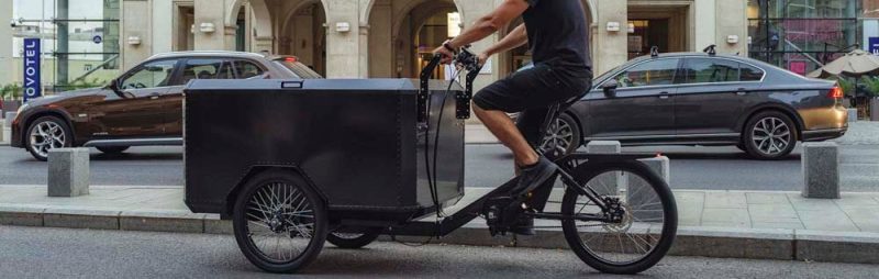 12 Reasons to Use Electric Cargo Bicycle for Transportation - Family ...