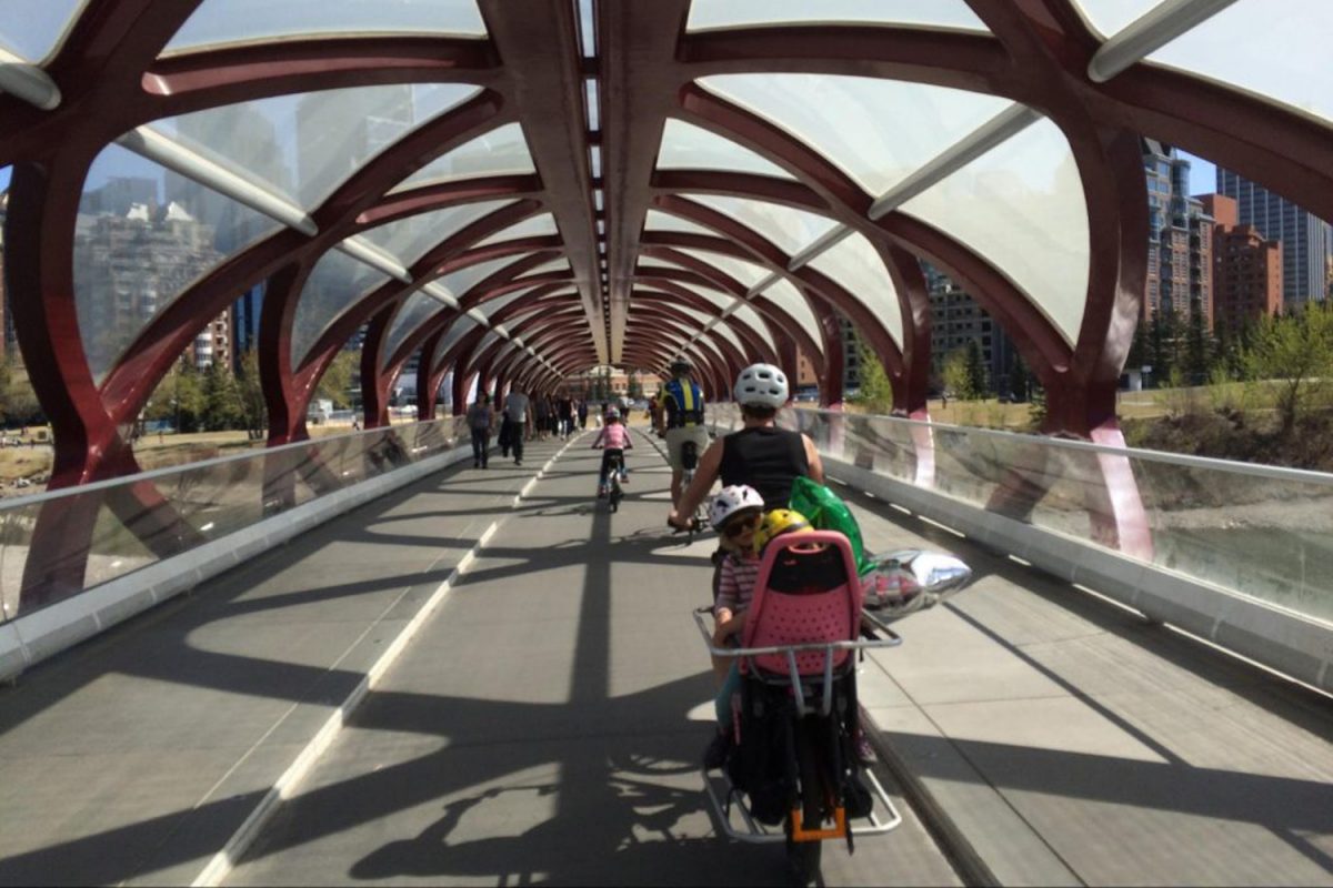 Exploring the World of Cargo Bikes Types and Riding Tips - Family Cargobike